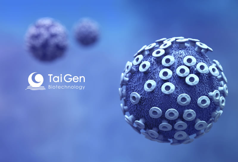 太景生物科技網頁設計